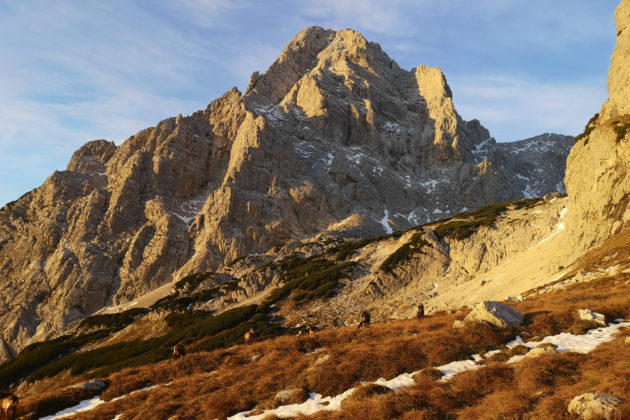» Großer Priel: Normalweg über das Prielschutzhaus | Tourenbericht