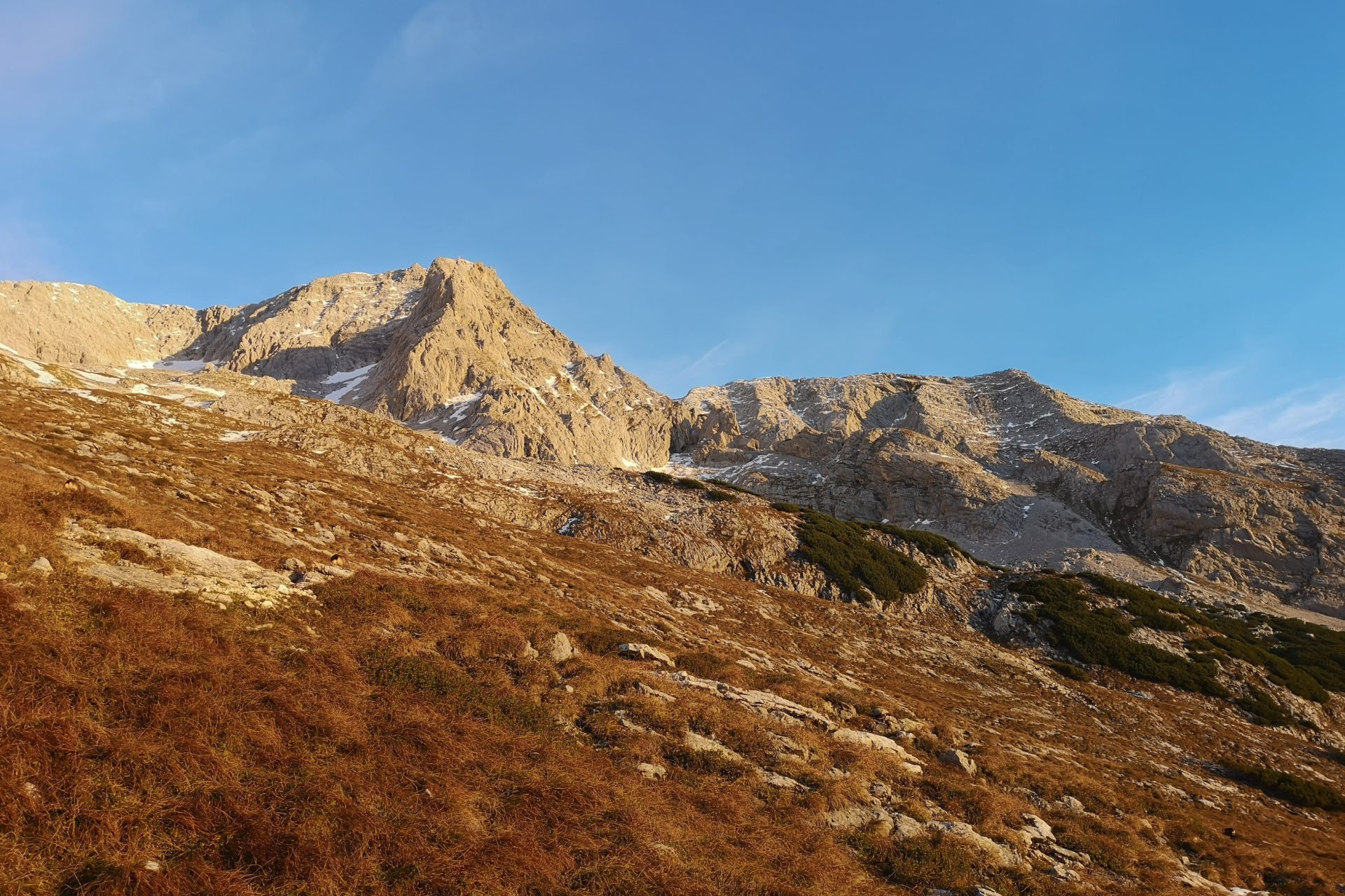 » Großer Priel: Normalweg über Prielschutzhaus | Tourenbericht