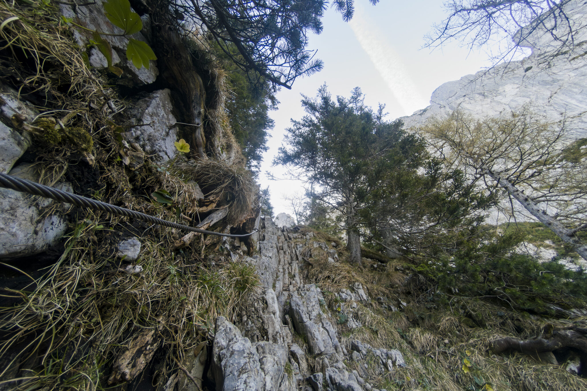Wandern am Traunstein (1.691 m): Alle Steige und Hütten